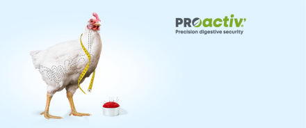 ProActiv'®, la seguridad digestiva de precisión del Grupo CCPA | CCPA