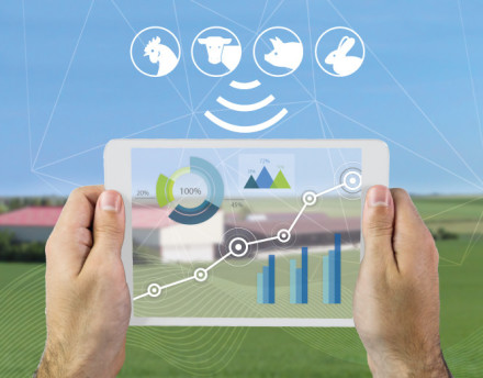 L’innovation numérique aux services des élevages | CCPA