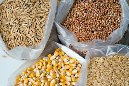 Les matières premières à la base de la nutrition animale | CCPA